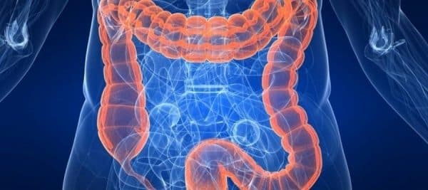 Kolonoskopija - Poliklinika ANALIZA